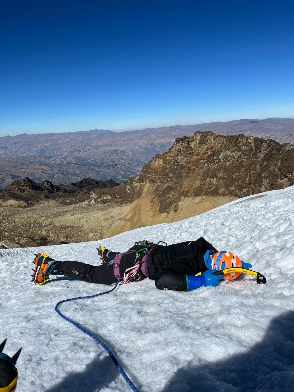 Getting to Know: Lisa Forte • Assured